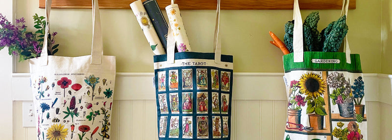 Collections - Cartolina