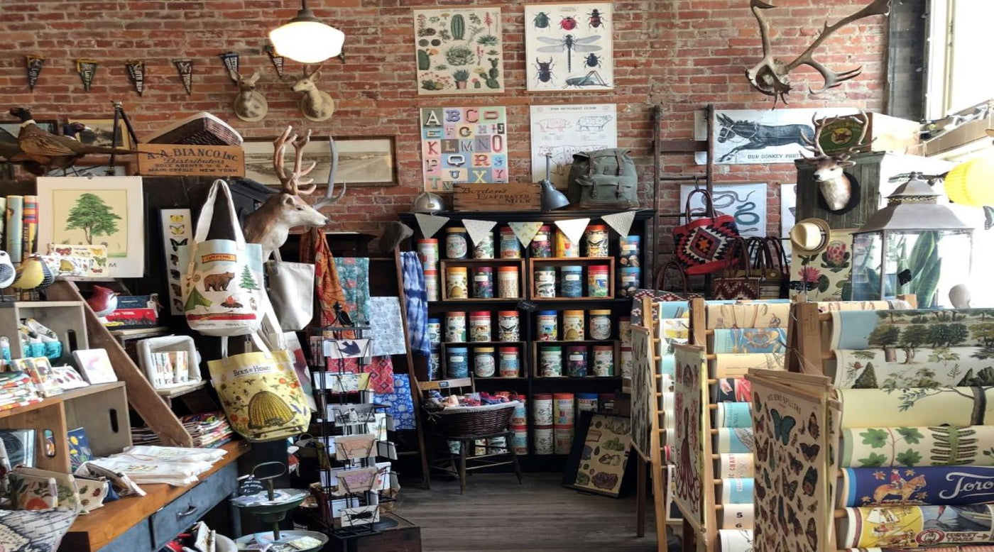 Cartolina | Vintage style gifts and curiosities. Online or In-Store.