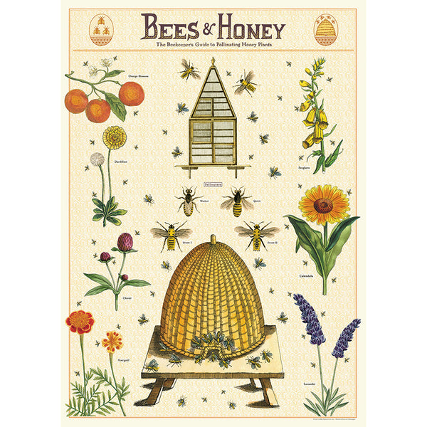 Bees Poster - Cartolina
