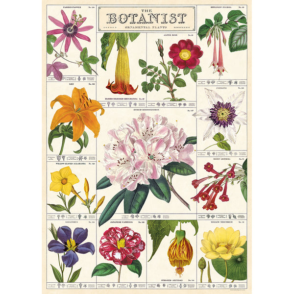 The Botanist Poster - Cartolina