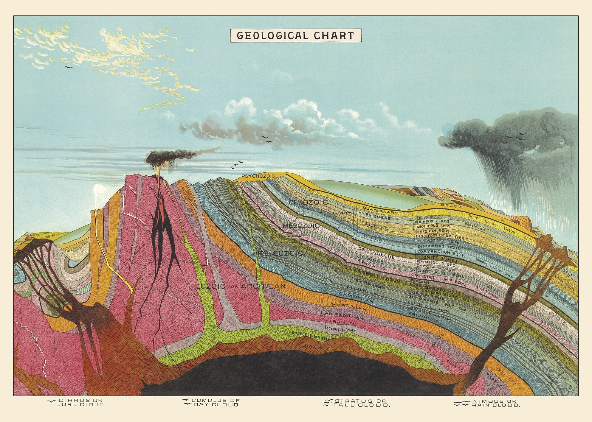 Geological Chart Poster - Cartolina